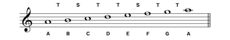 What Is A Diatonic Scale?