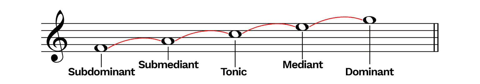 What Are The Scale Degree Names?