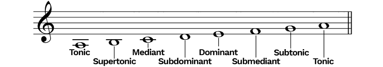 What Are The Scale Degree Names?