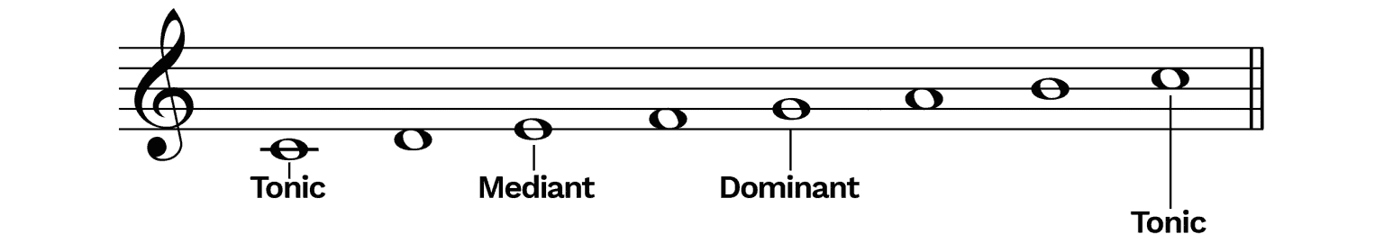 What Are The Scale Degree Names?