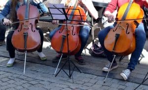 12 Fun And Interesting Facts About The Cello