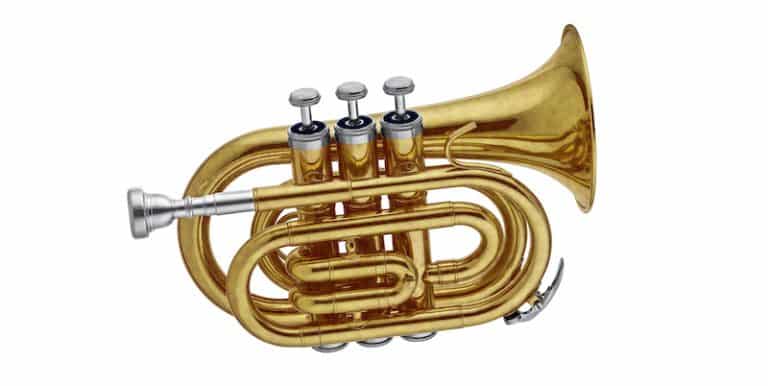 The 10 Different Types Of Trumpets: A Complete Guide