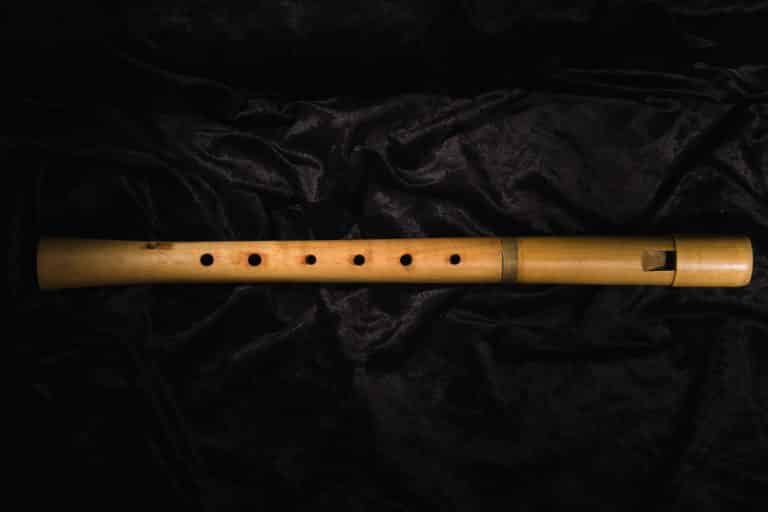16 Fun And Interesting Facts About The Recorder