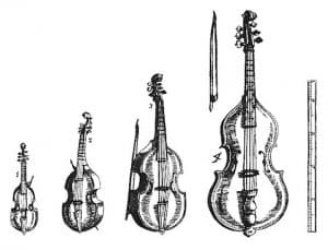 16 Fun And Interesting Facts About The Viola You Should Know