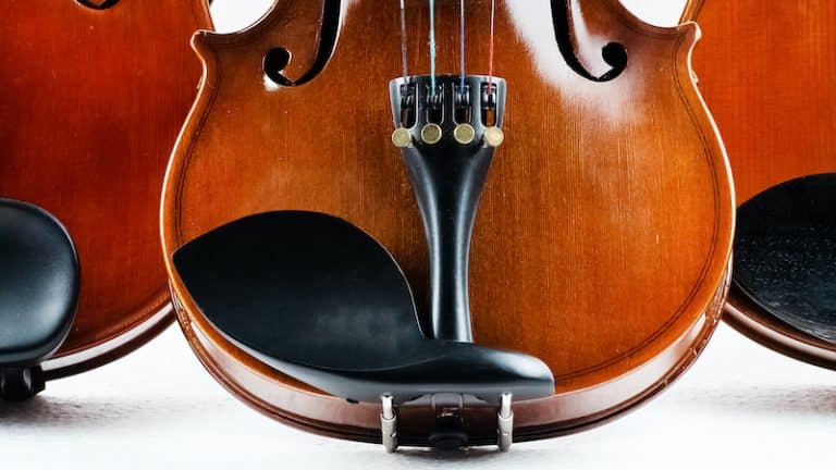 Parts Of The Violin: The Anatomy And Structure Explained