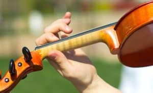 Parts Of The Violin: The Anatomy And Structure Explained