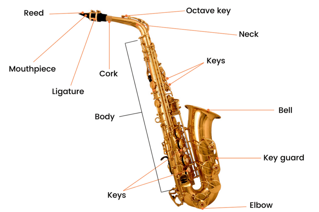 13 Traditional Roman Musical Instruments You Should Know