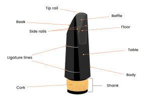 Parts Of A Clarinet: The Anatomy Explained