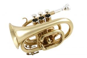 The 10 Best Pocket Trumpets In 2025