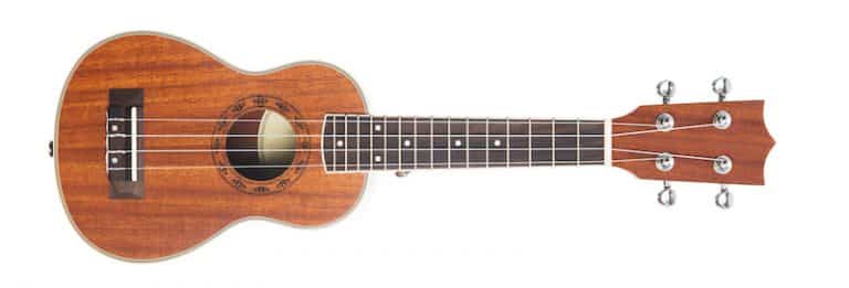 12 Hawaiian Musical Instruments You Should Know