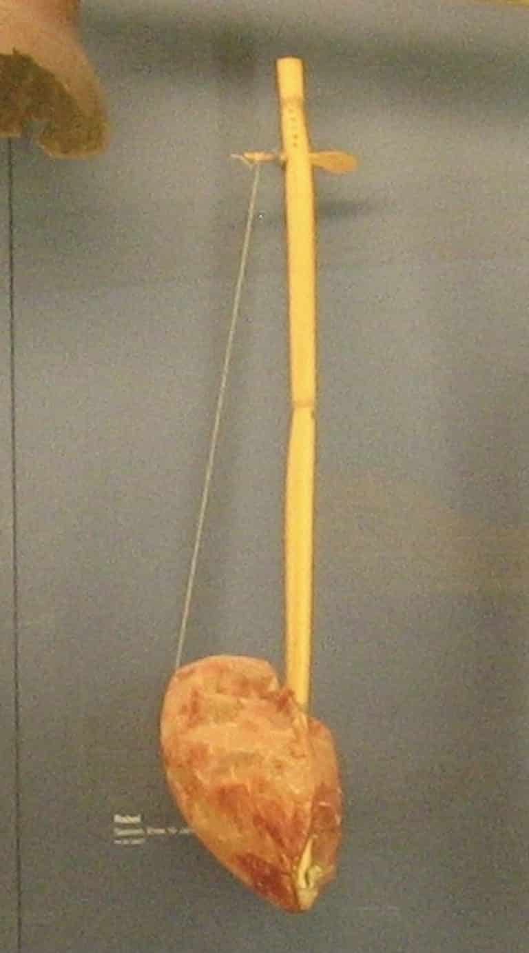 13 Traditional German Musical Instruments You Should Know