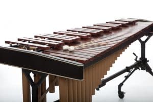 15 Fun And Interesting Facts About The Xylophone