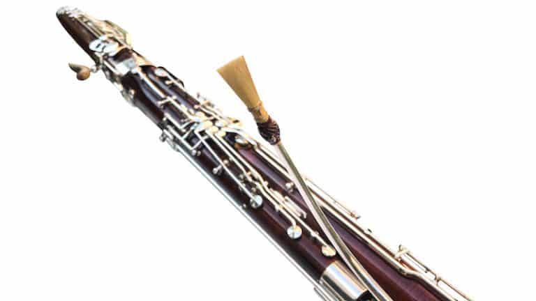 16 Fun And Interesting Facts About The Bassoon