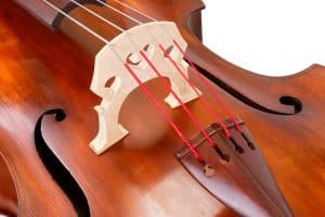 The Different Parts Of A Double Bass: Anatomy And Structure