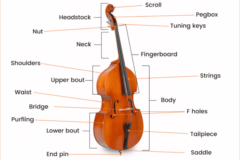 Parts Of An Oboe: Its Anatomy Explained | HelloMusicTheory