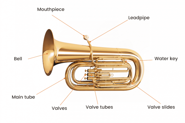 The Different Parts Of A Tuba: Anatomy And Structure