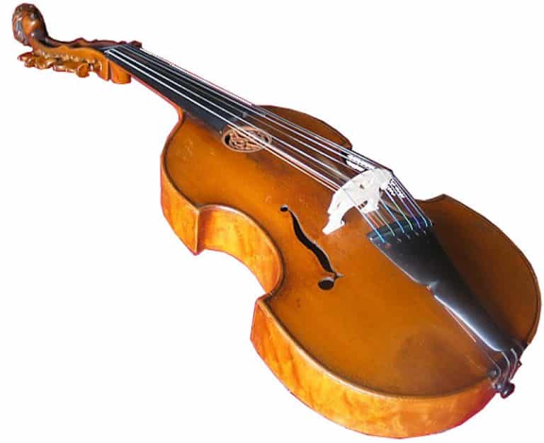 16 Fun And Interesting Facts About The Viola You Should Know