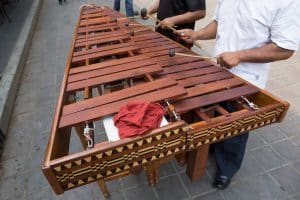 15 Fun And Interesting Facts About The Marimba
