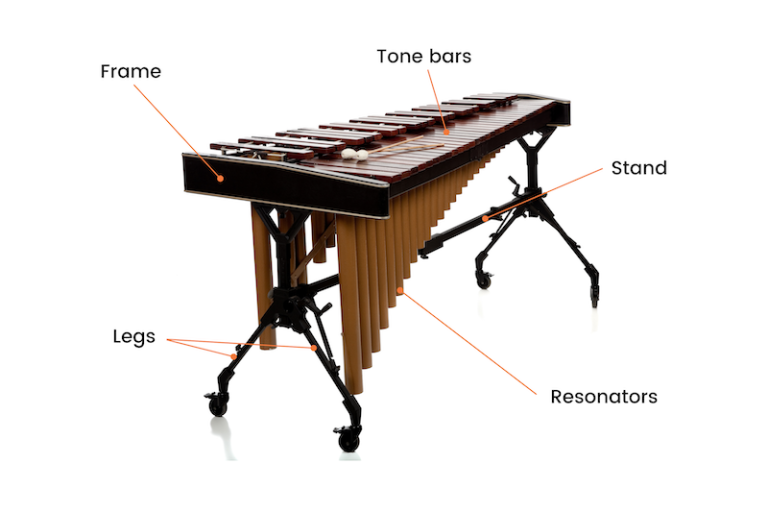 Percussion Hello Music Theory: Learn Music Theory Online