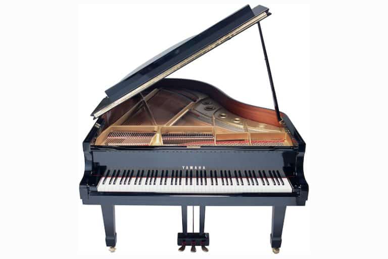 14 Traditional French Musical Instruments You Should Know