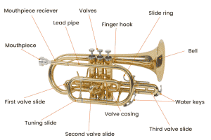 The Different Parts Of A Cornet: The Anatomy And Structure