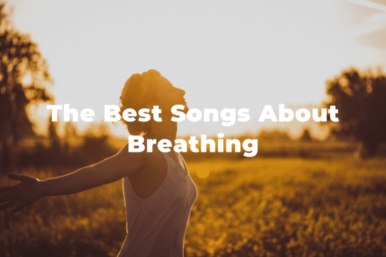 23 Of The Best Songs About Flying And Planes