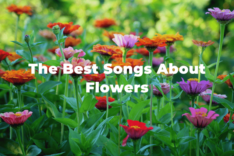 13 Of The Best Songs About Saturday