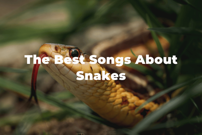 15 Of The Best Songs About Sand