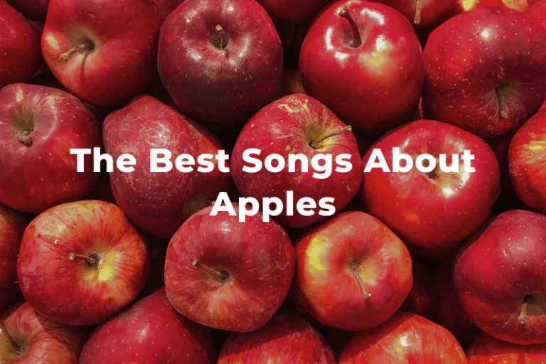 21 Of The Best Songs About Insecurity And Feeling Insecure