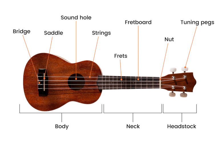 The Different Parts Of The Ukulele: Anatomy And Structure